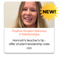 new teacher support - lead4ward